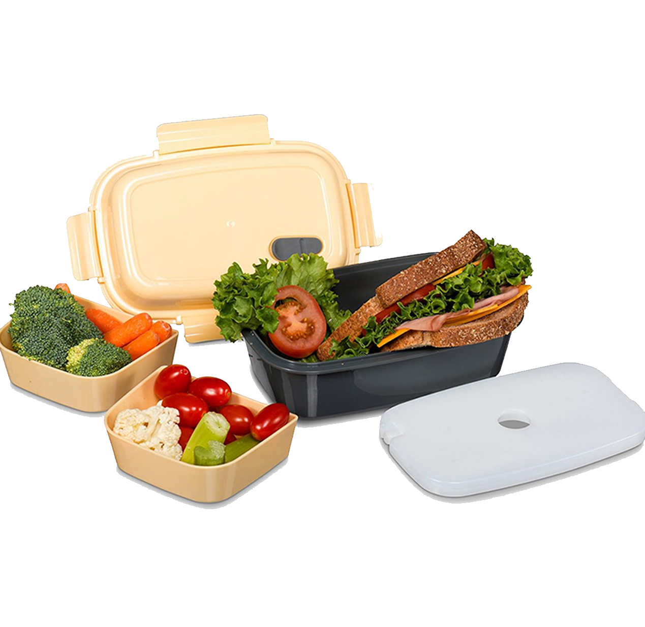 Cuddly Hippo Premium Bento Lunch Box - Leakproof, BPA-Free, Multi-Comp